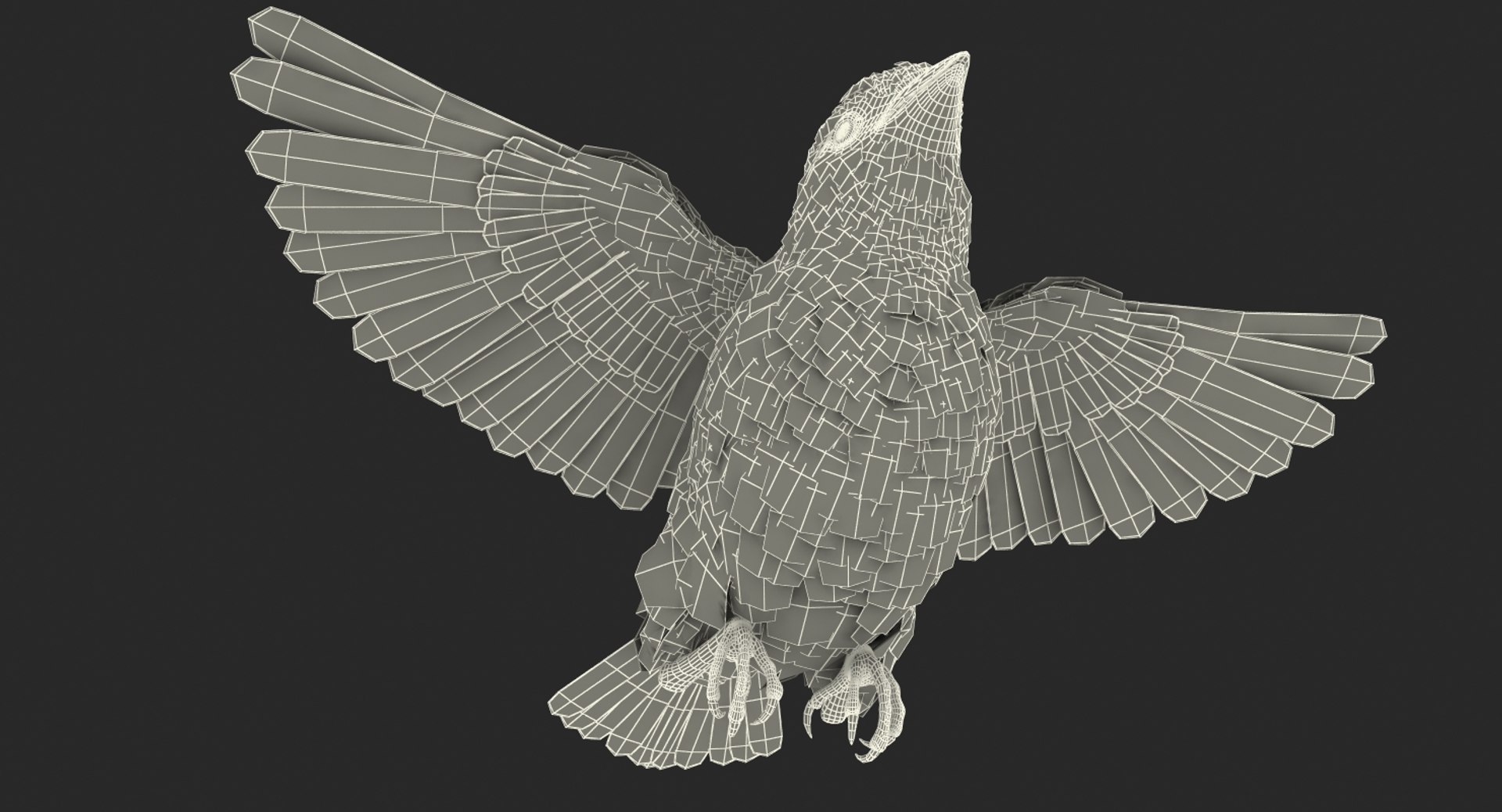 3D House Sparrow Rigged - TurboSquid 1383785