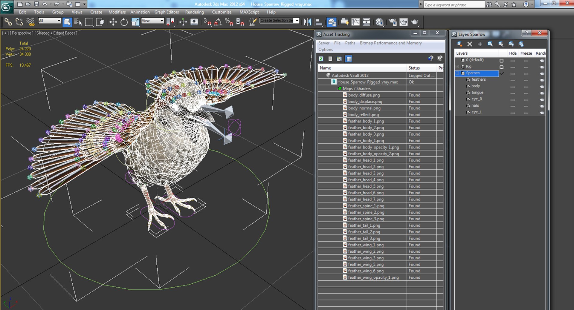 3D House Sparrow Rigged - TurboSquid 1383785