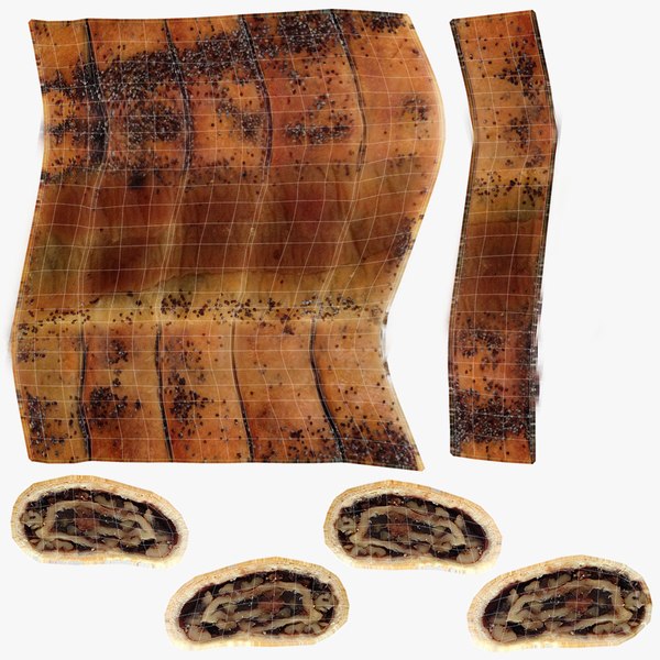 realistic nut roll max