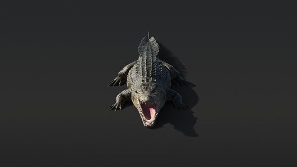 modelo 3d Saltwater Crocodile Animated - TurboSquid 2016649