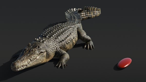 Saltwater Crocodile Animated 3D 모델 - TurboSquid 2016649