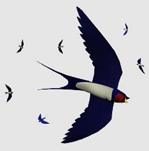 Download Free & Premium Swallow 3D Models | TurboSquid