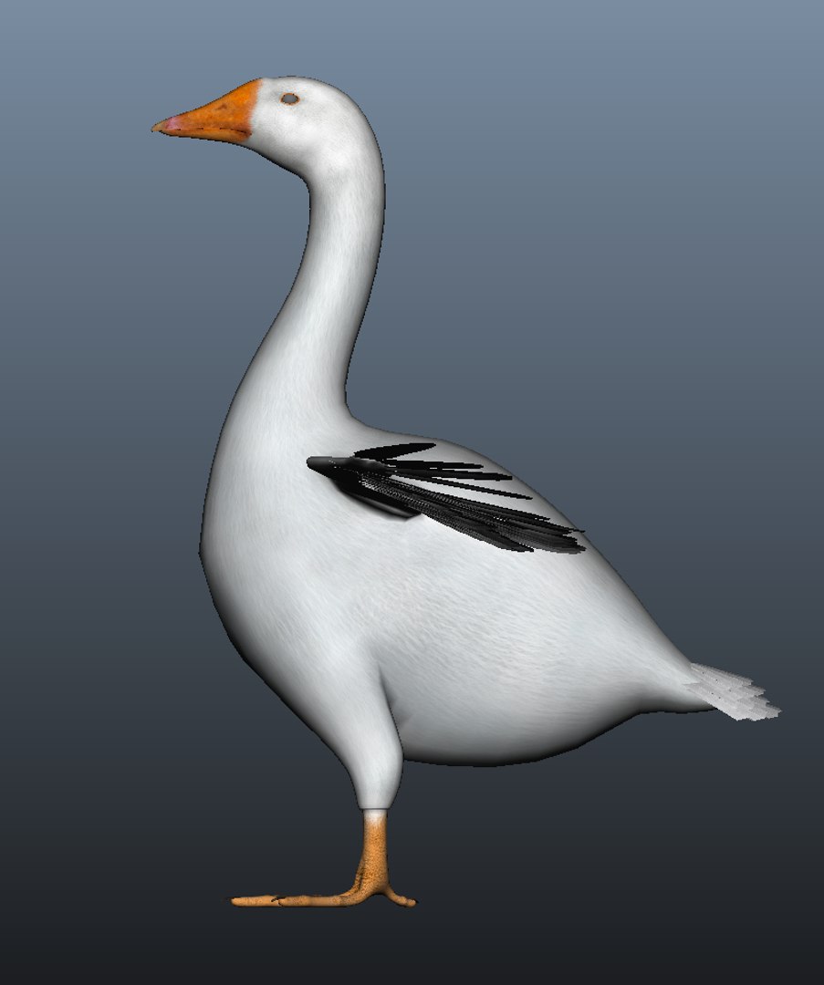 Goose Model - TurboSquid 1391690