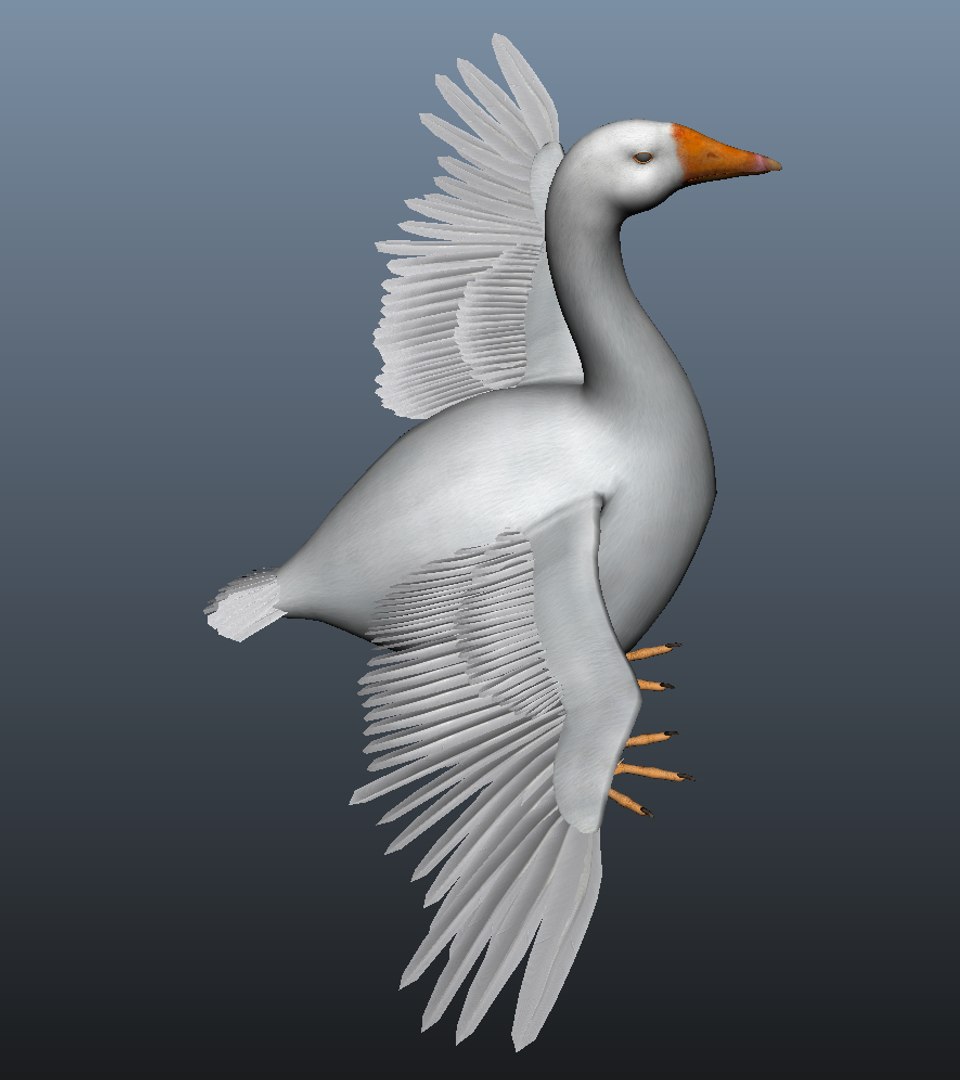 Goose Model - TurboSquid 1391690
