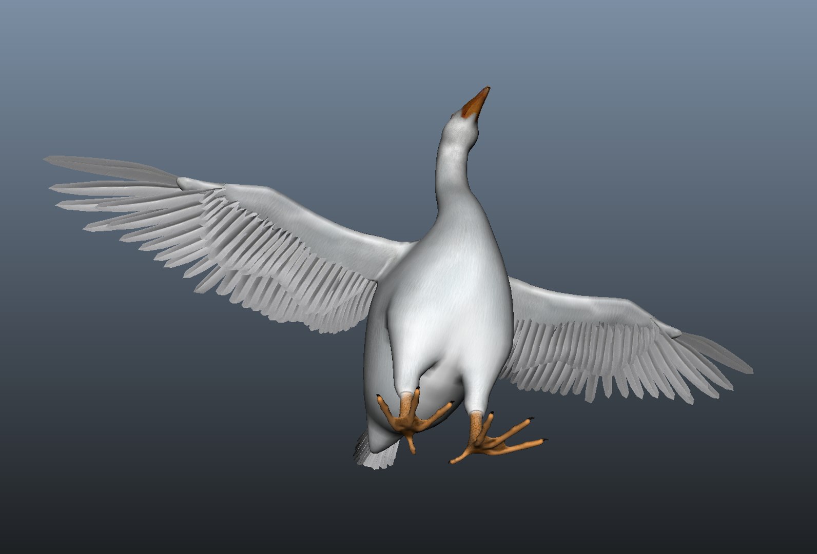 Goose Model - TurboSquid 1391690