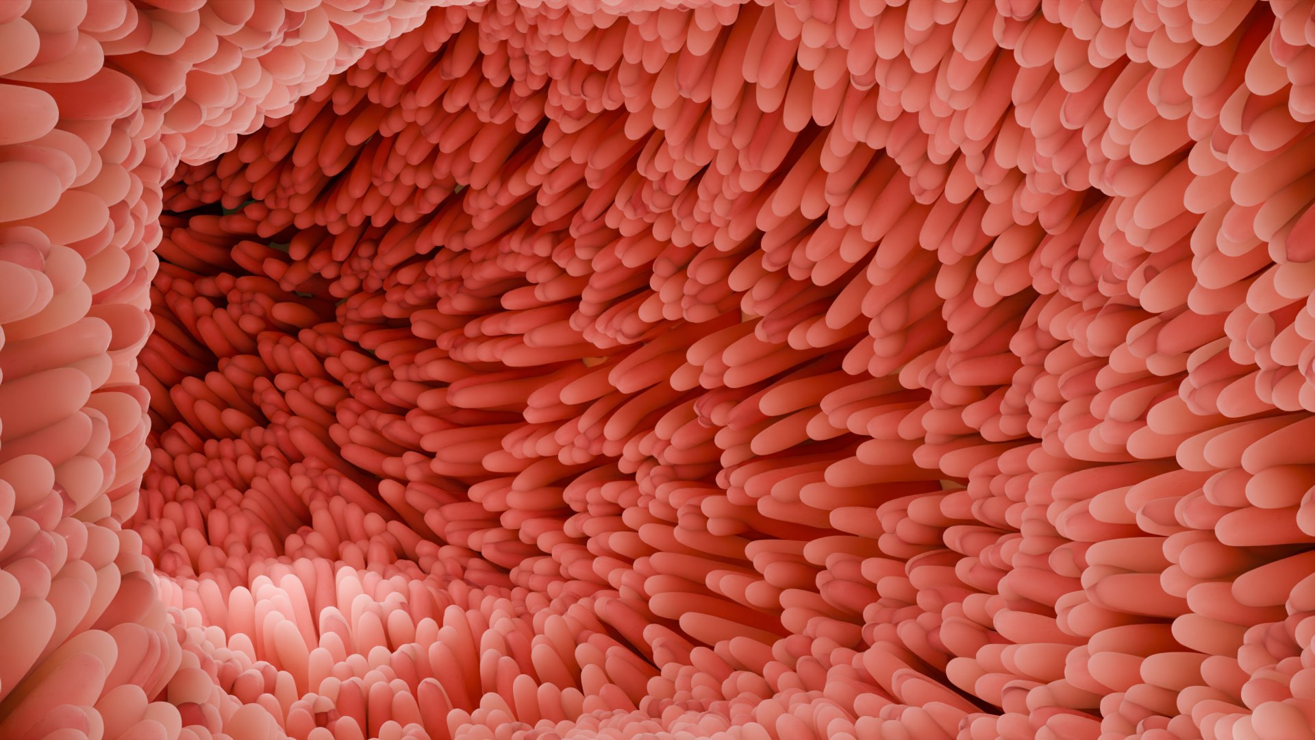 Intestinal Villi 3D Model - TurboSquid 2217800