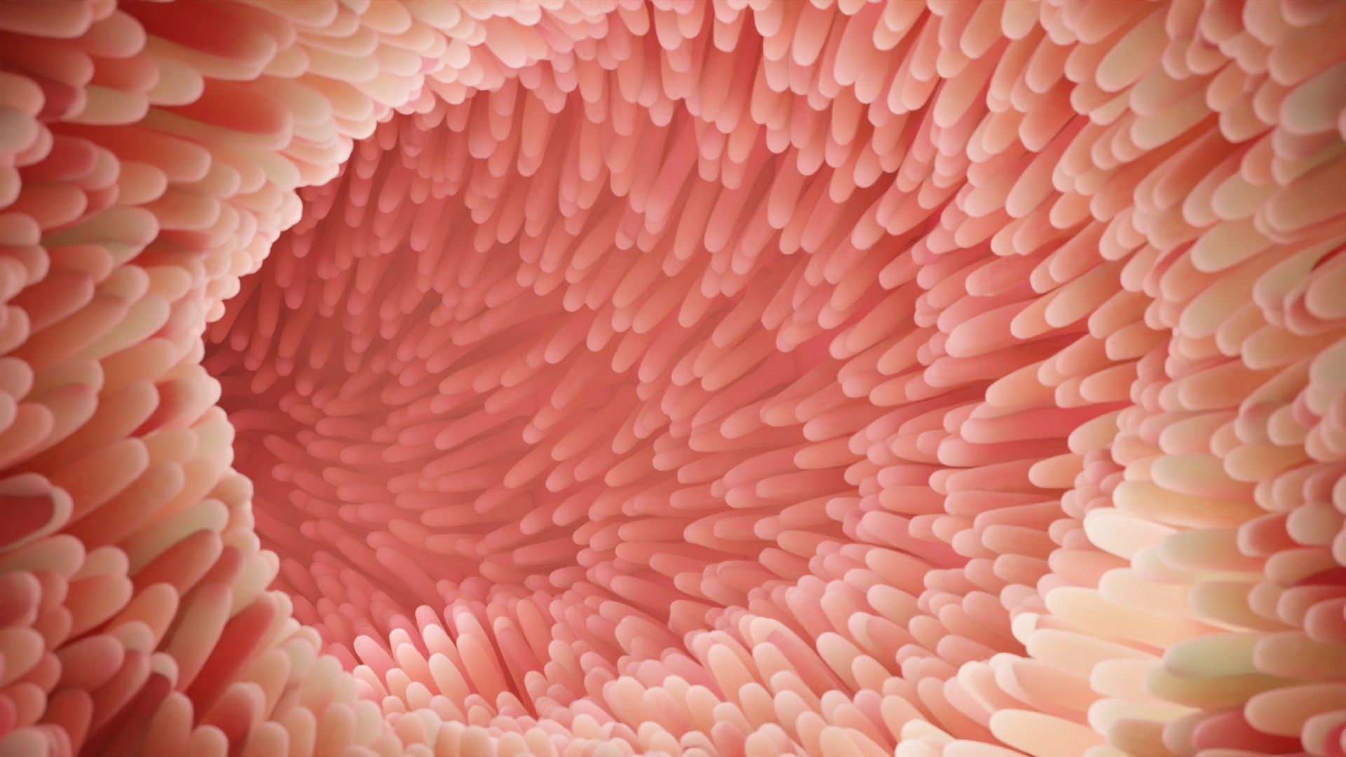 Intestinal Villi 3D Model - TurboSquid 2217800