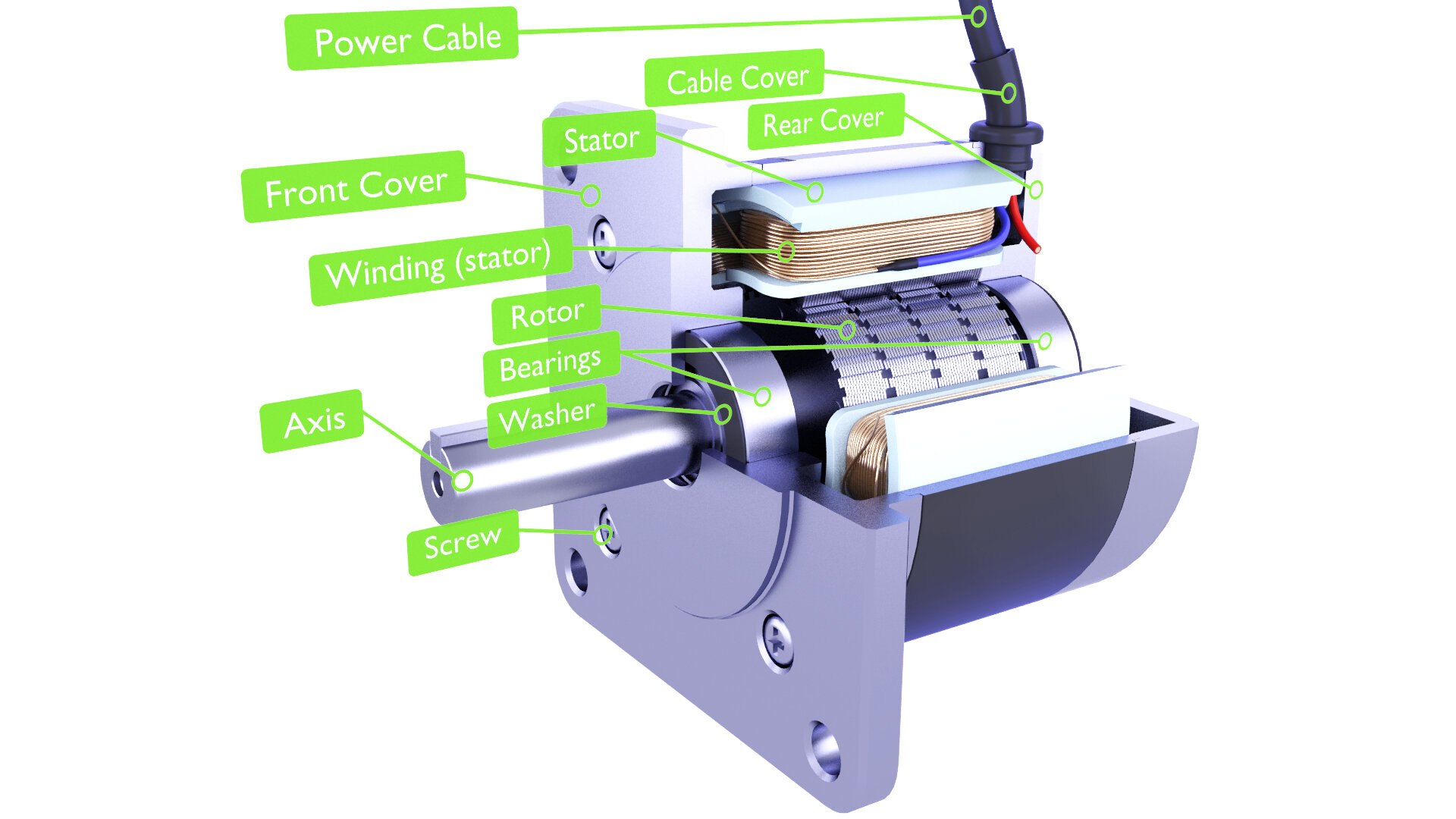 3D Model 2 Stepper Motor Cross Section Diagrams SET V5 - TurboSquid 2401360
