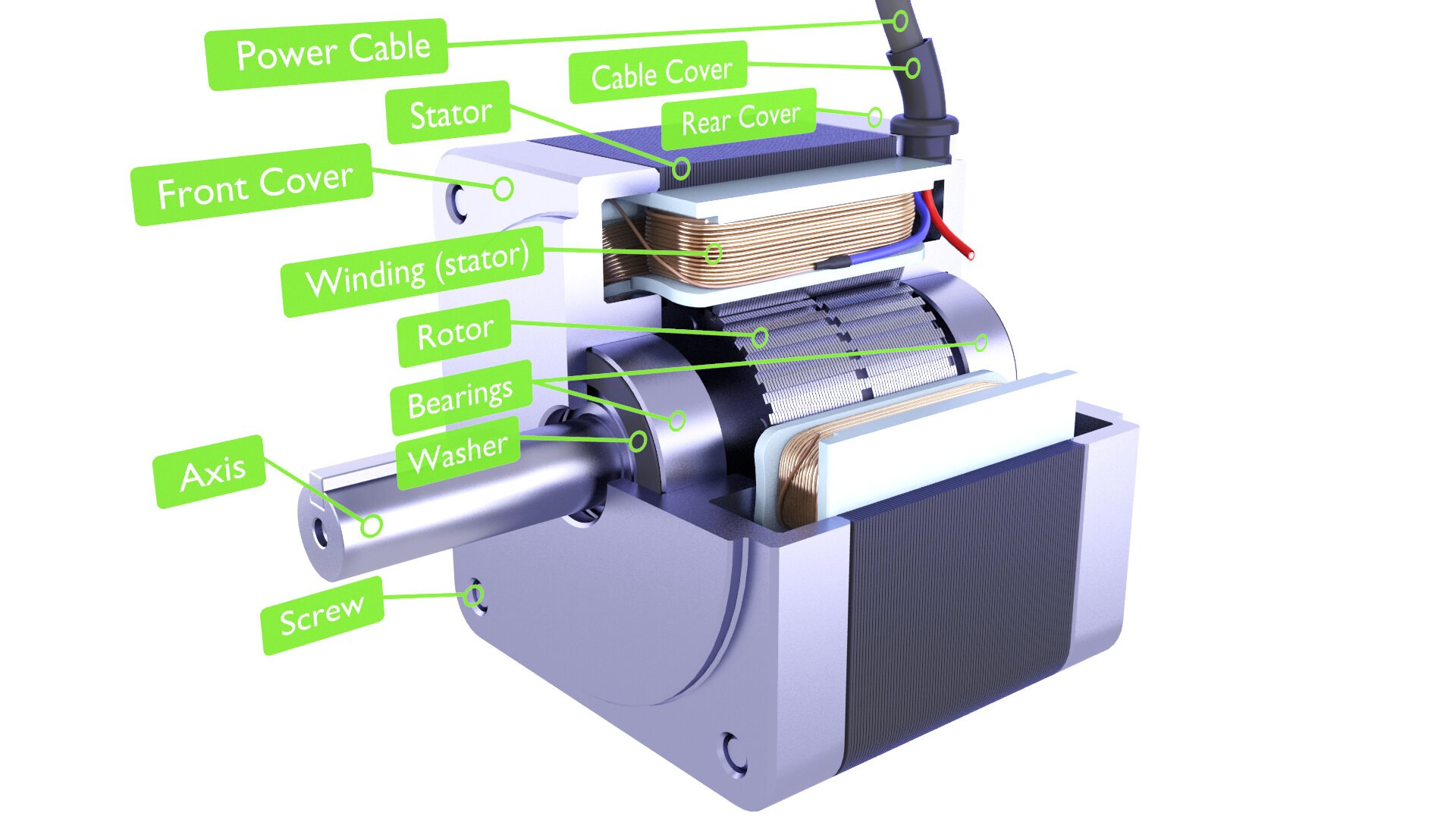3D Model 2 Stepper Motor Cross Section Diagrams SET V5 - TurboSquid 2401360