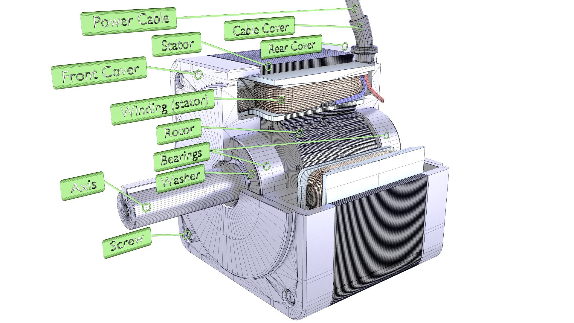 3D Model 2 Stepper Motor Cross Section Diagrams SET V5 - TurboSquid 2401360