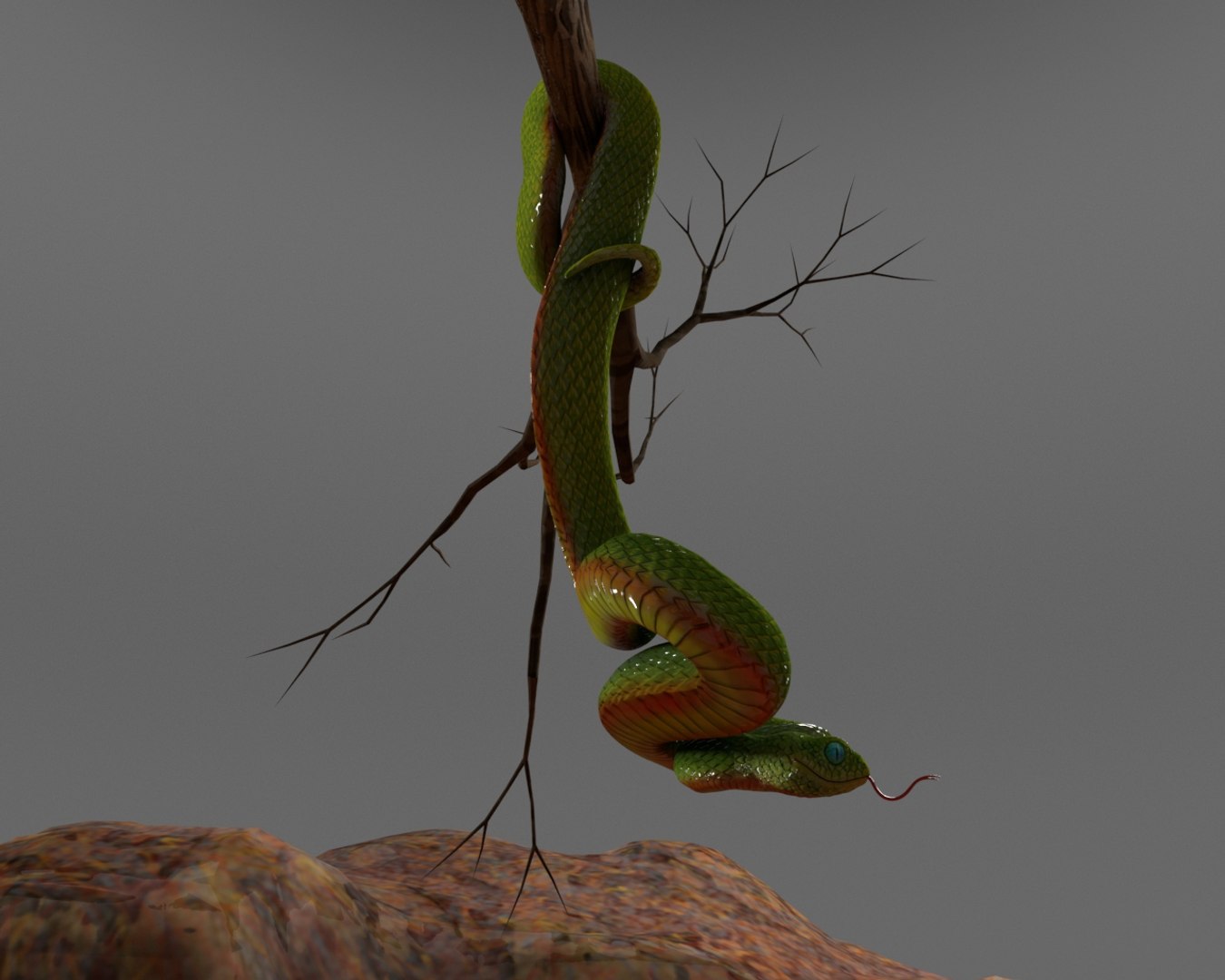 3D Viper Snake Model - TurboSquid 1541065