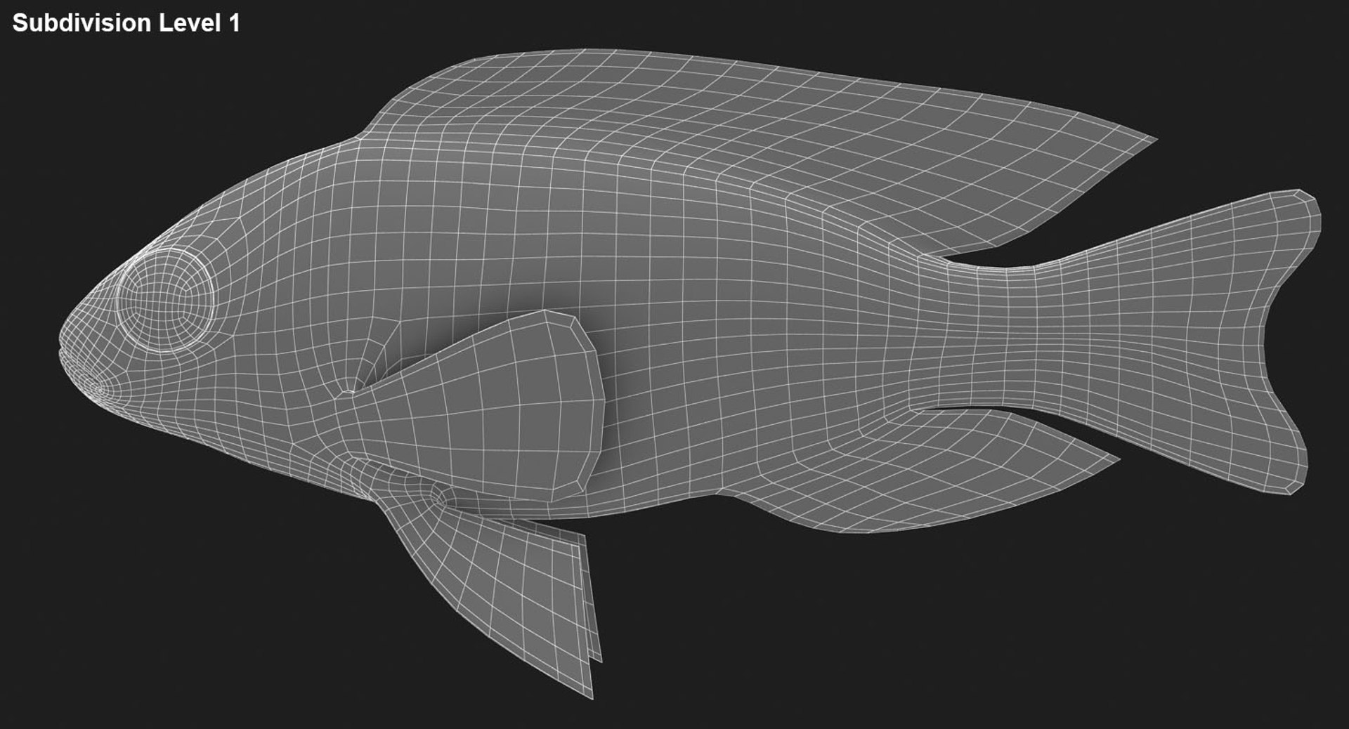 Cichlids fish 3D model - TurboSquid 1383945