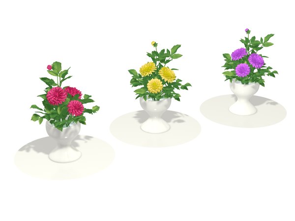 Cosmos Flower 3D Models for Download | TurboSquid