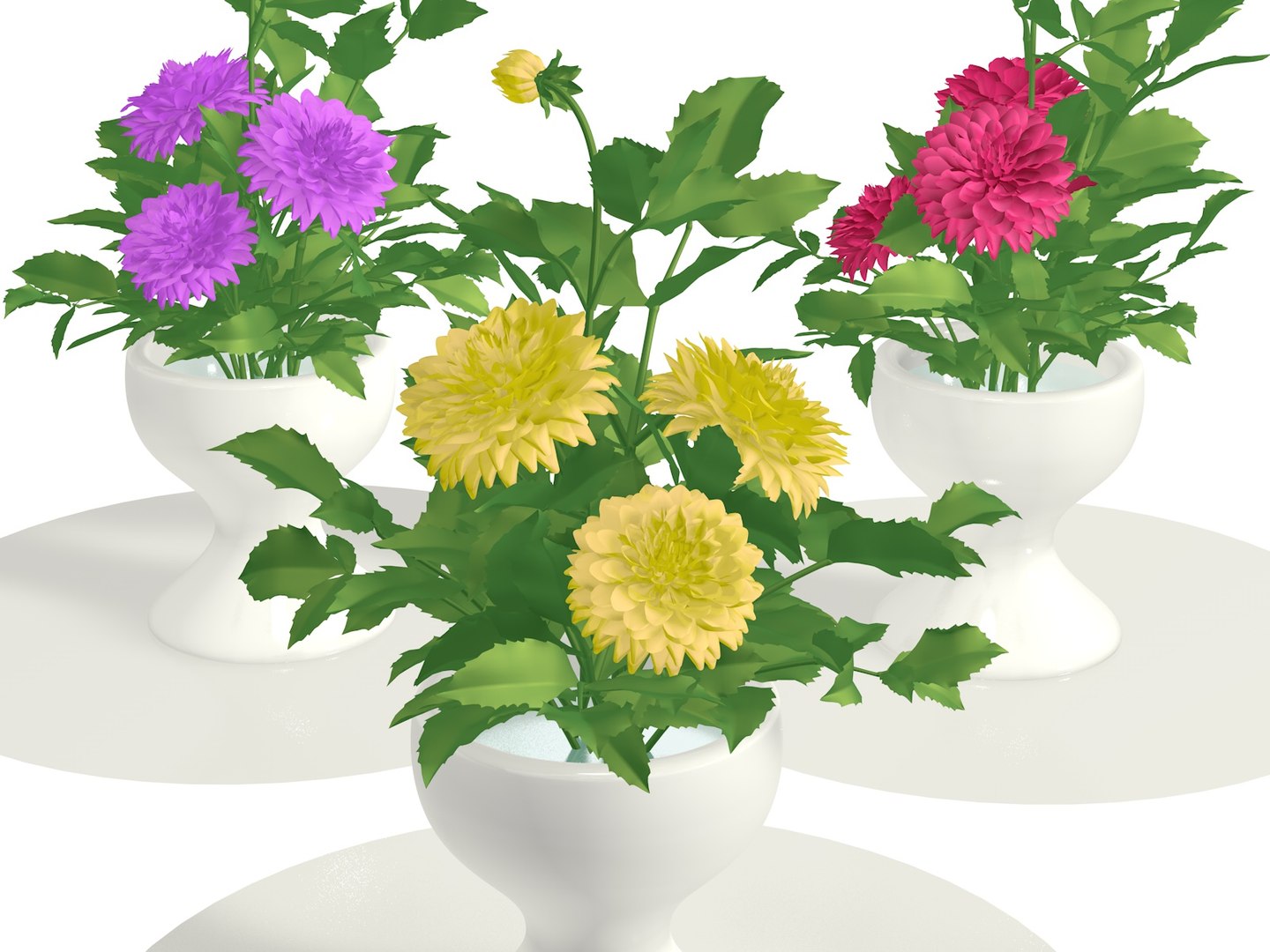 Flower Model - TurboSquid 1480567