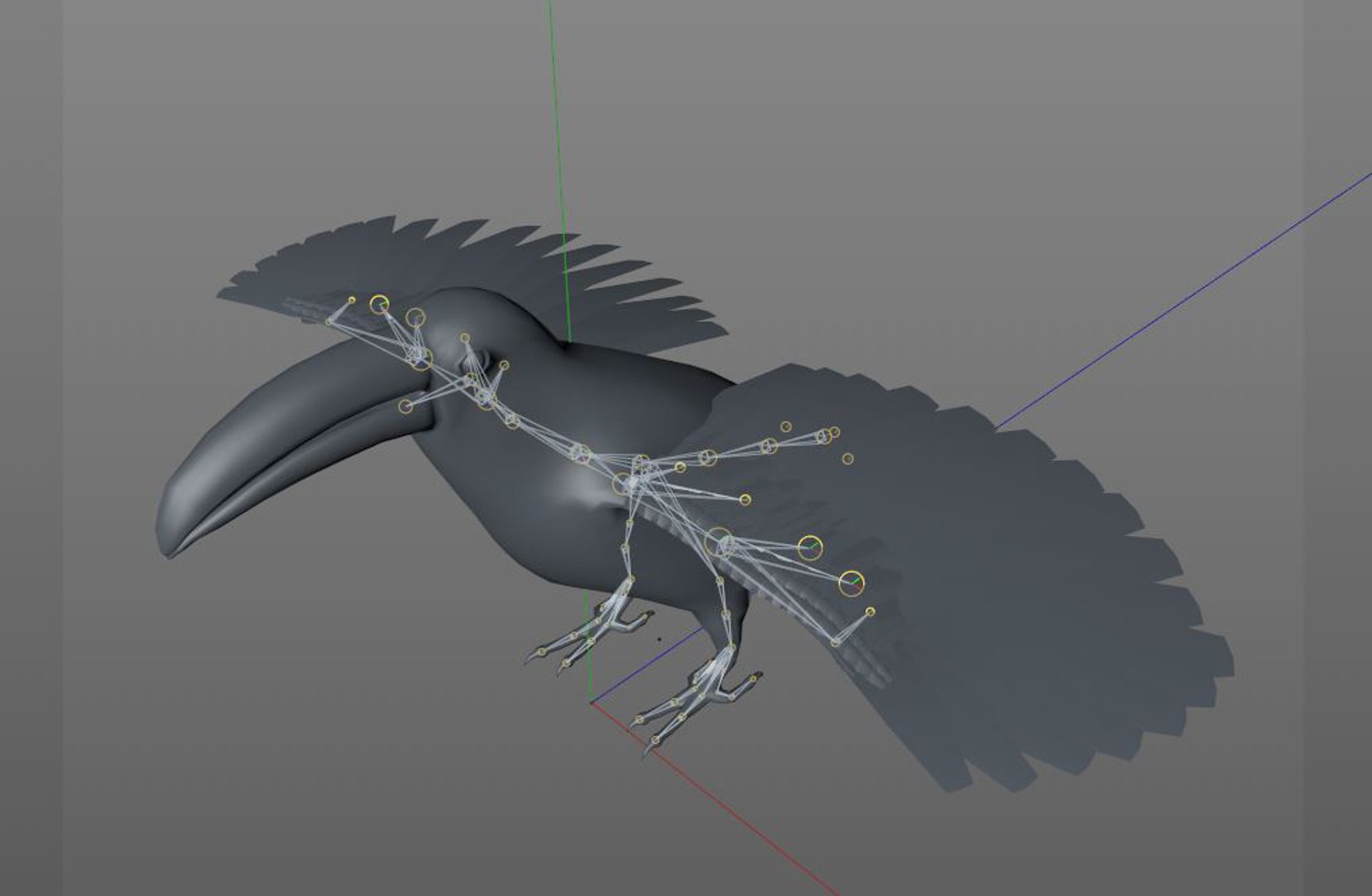 Toucan bird model - TurboSquid 1536958