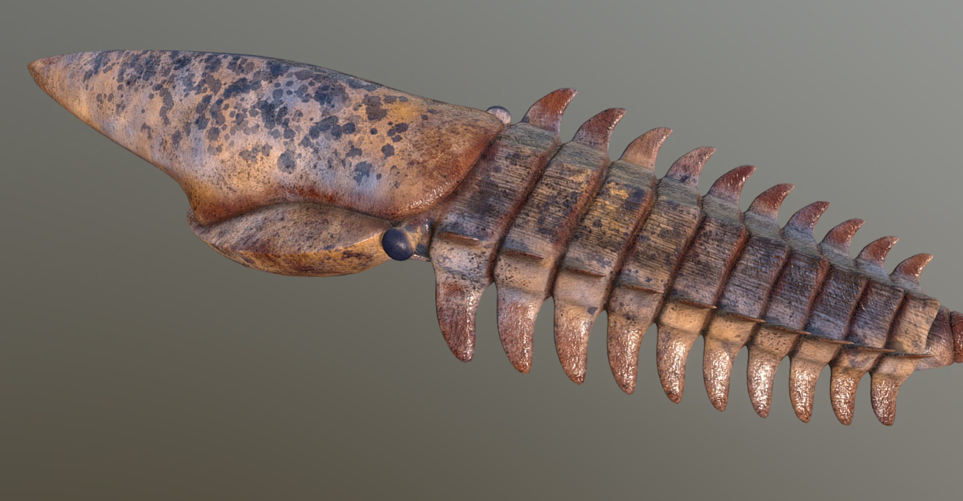 Aegirocassis 3D Model - TurboSquid 1394970