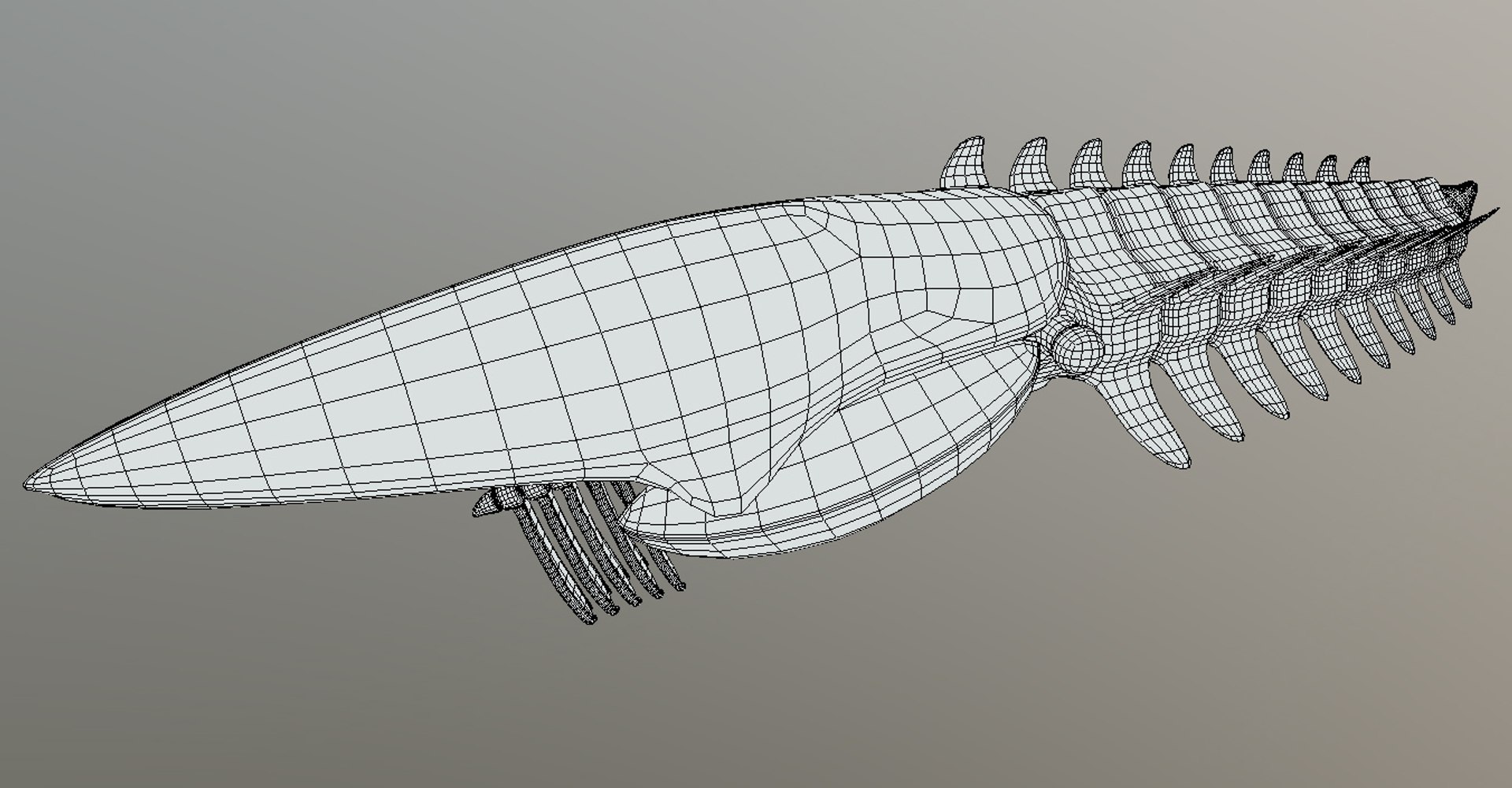 Aegirocassis 3D Model - TurboSquid 1394970