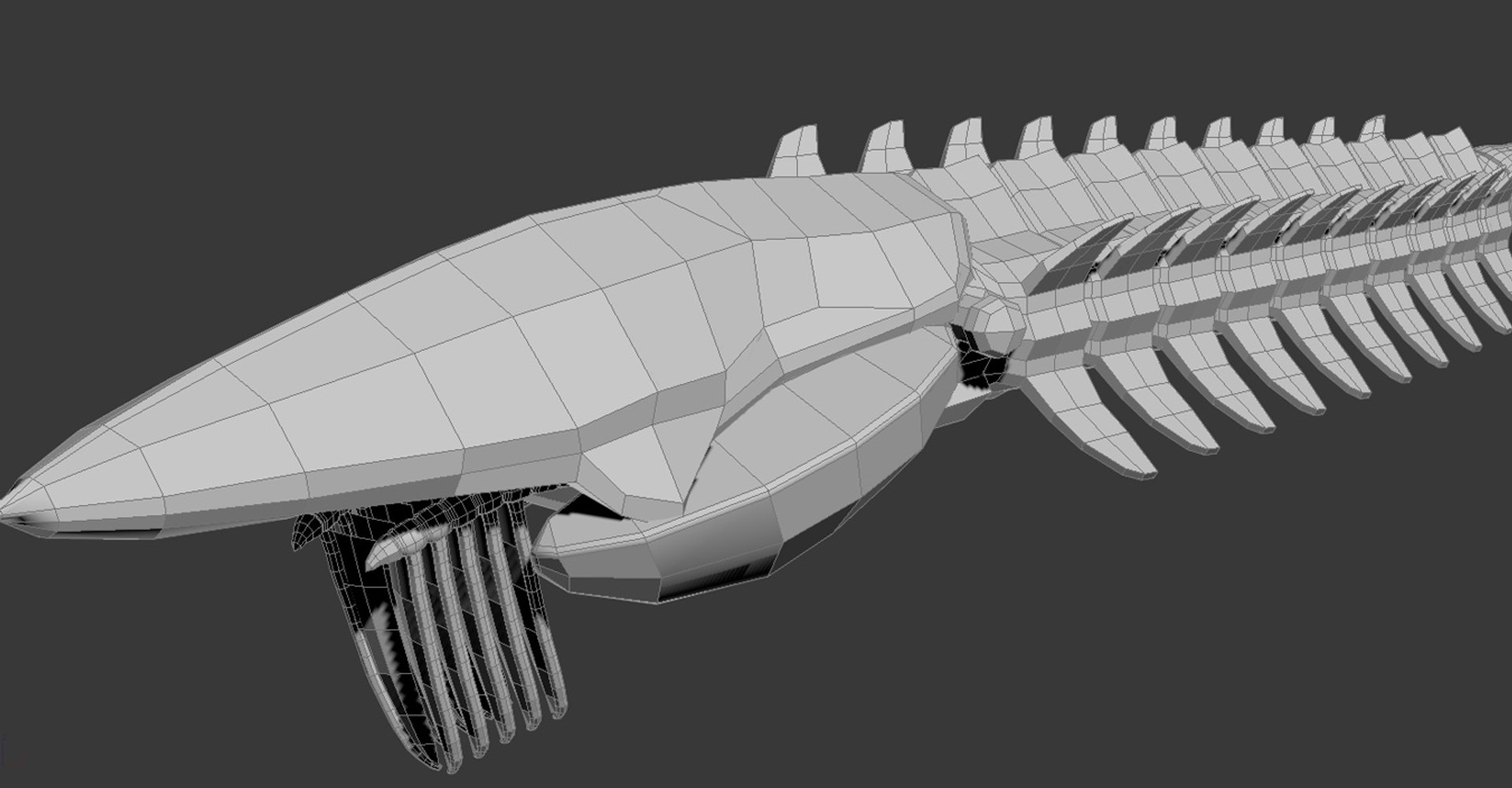 Aegirocassis 3D Model - TurboSquid 1394970