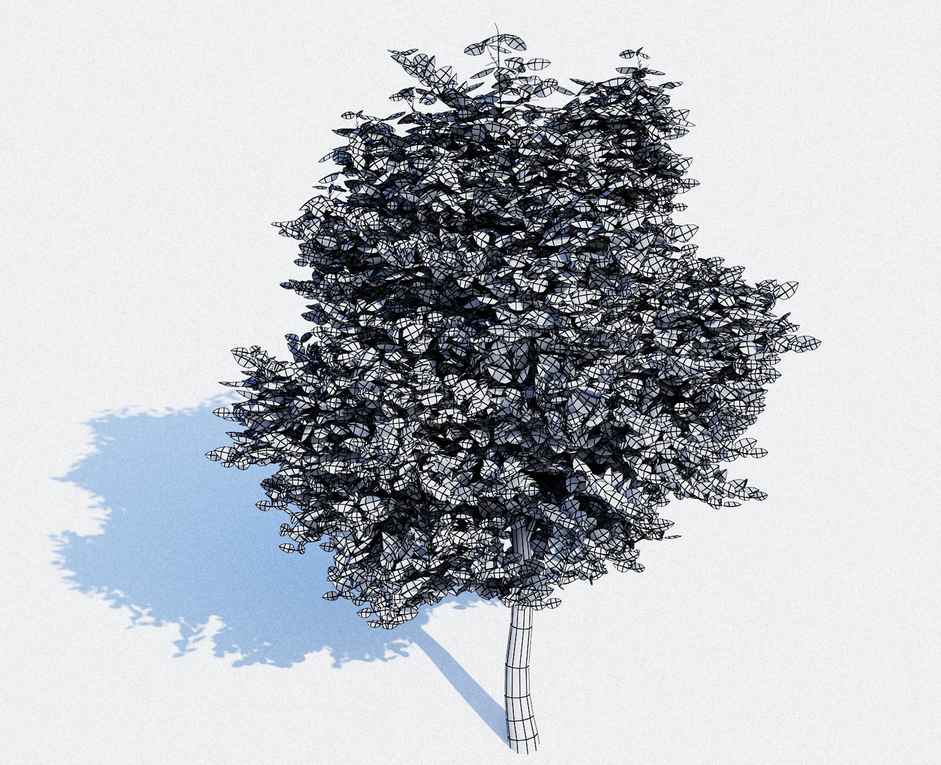 3d Tree Materials Leaves Model