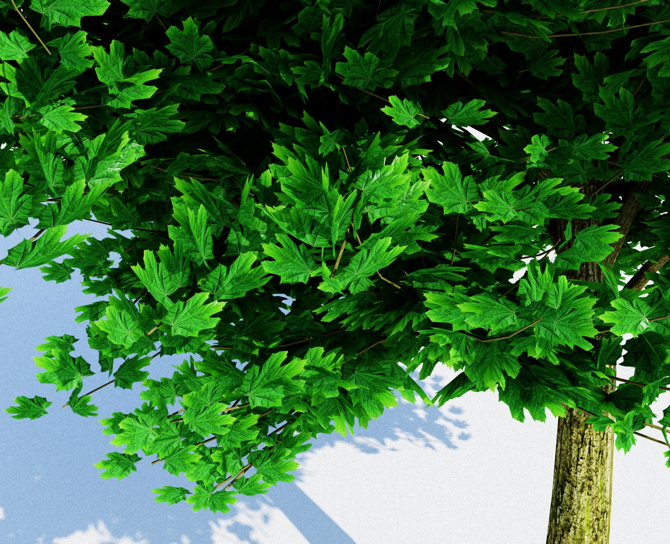 3d Tree Materials Leaves Model