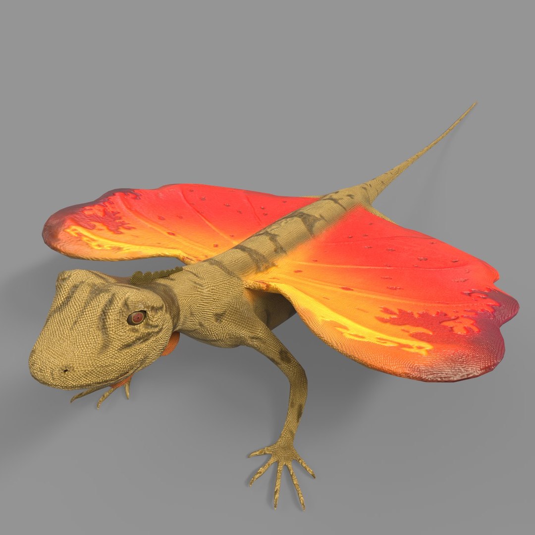 3D Flying Lizard - TurboSquid 2253482