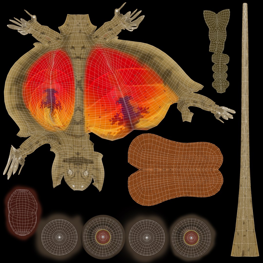 3D Flying Lizard - TurboSquid 2253482