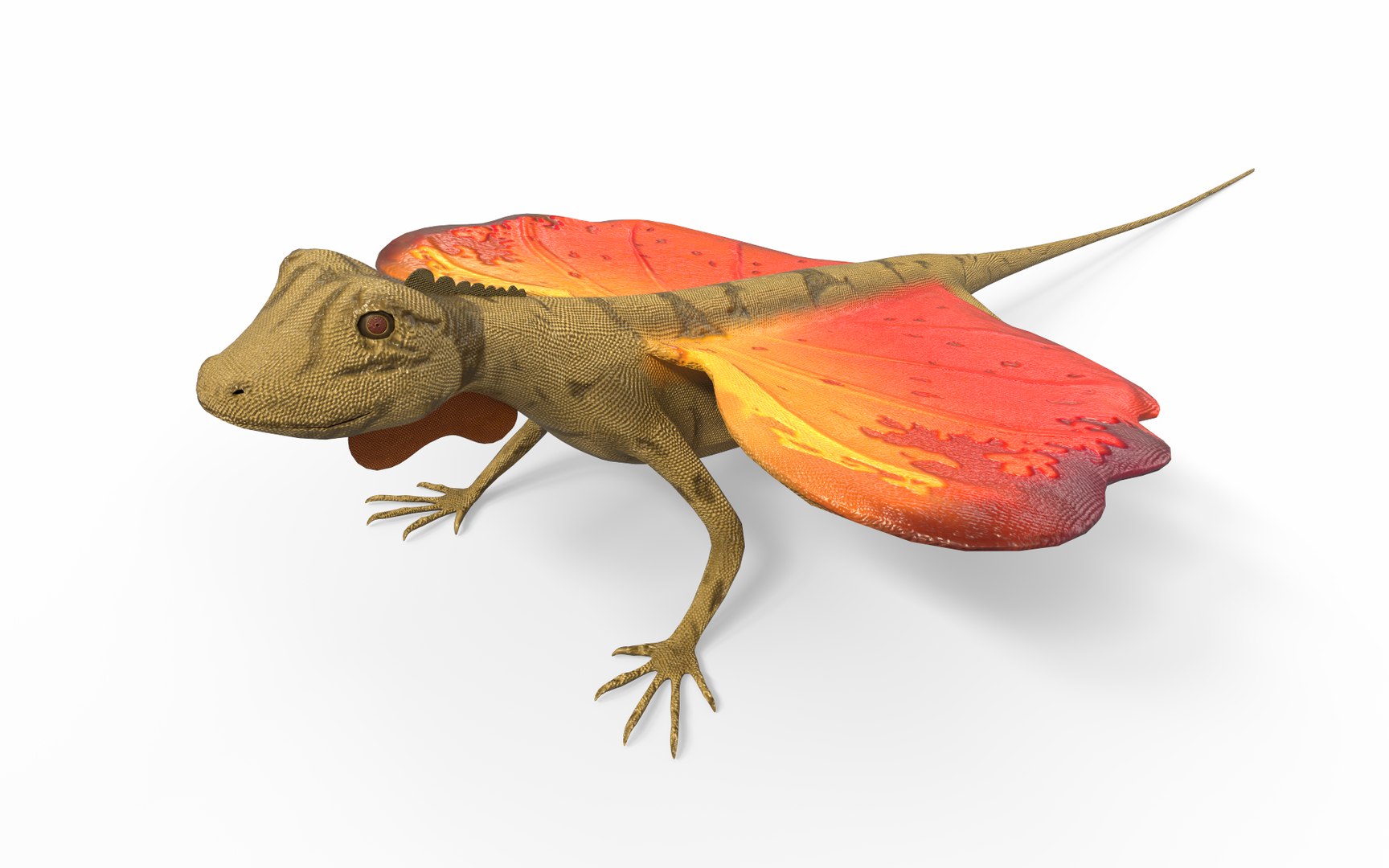 3D Flying Lizard - TurboSquid 2253482