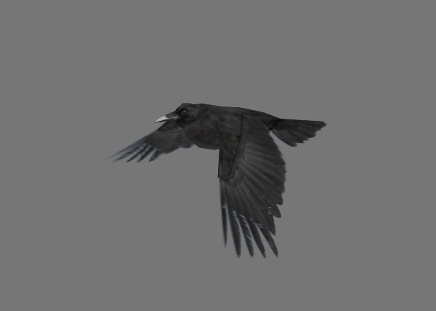 3dsmax rigged raven animations