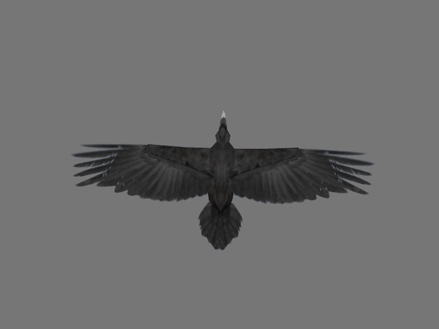 3dsmax rigged raven animations