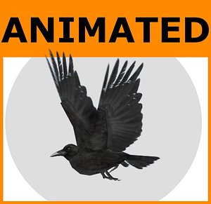 Download Free & Premium Raven 3D Models | TurboSquid