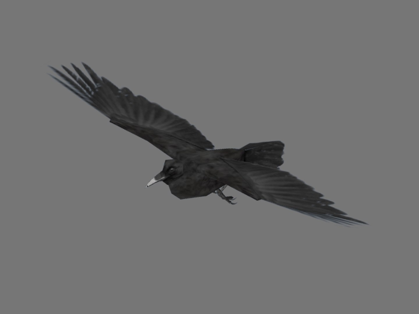 3dsmax rigged raven animations