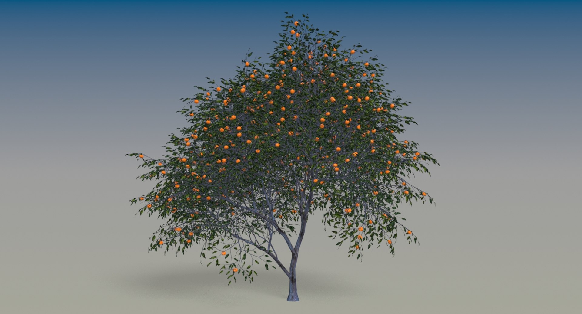 3D Model Realistic Fruit Tree Mandarine - TurboSquid 1377404