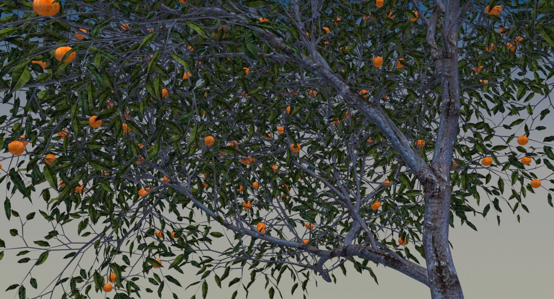 3D Model Realistic Fruit Tree Mandarine - TurboSquid 1377404