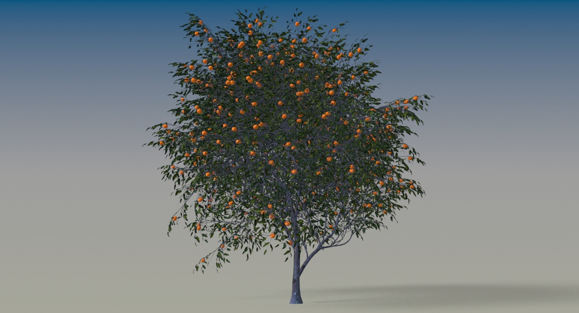 3D Model Realistic Fruit Tree Mandarine - TurboSquid 1377404