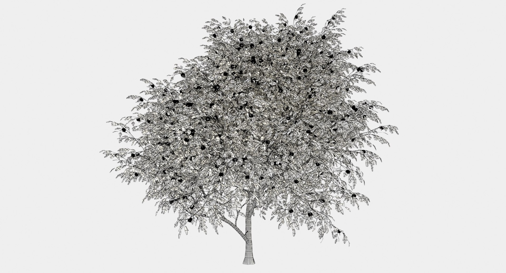 3D Model Realistic Fruit Tree Mandarine - TurboSquid 1377404