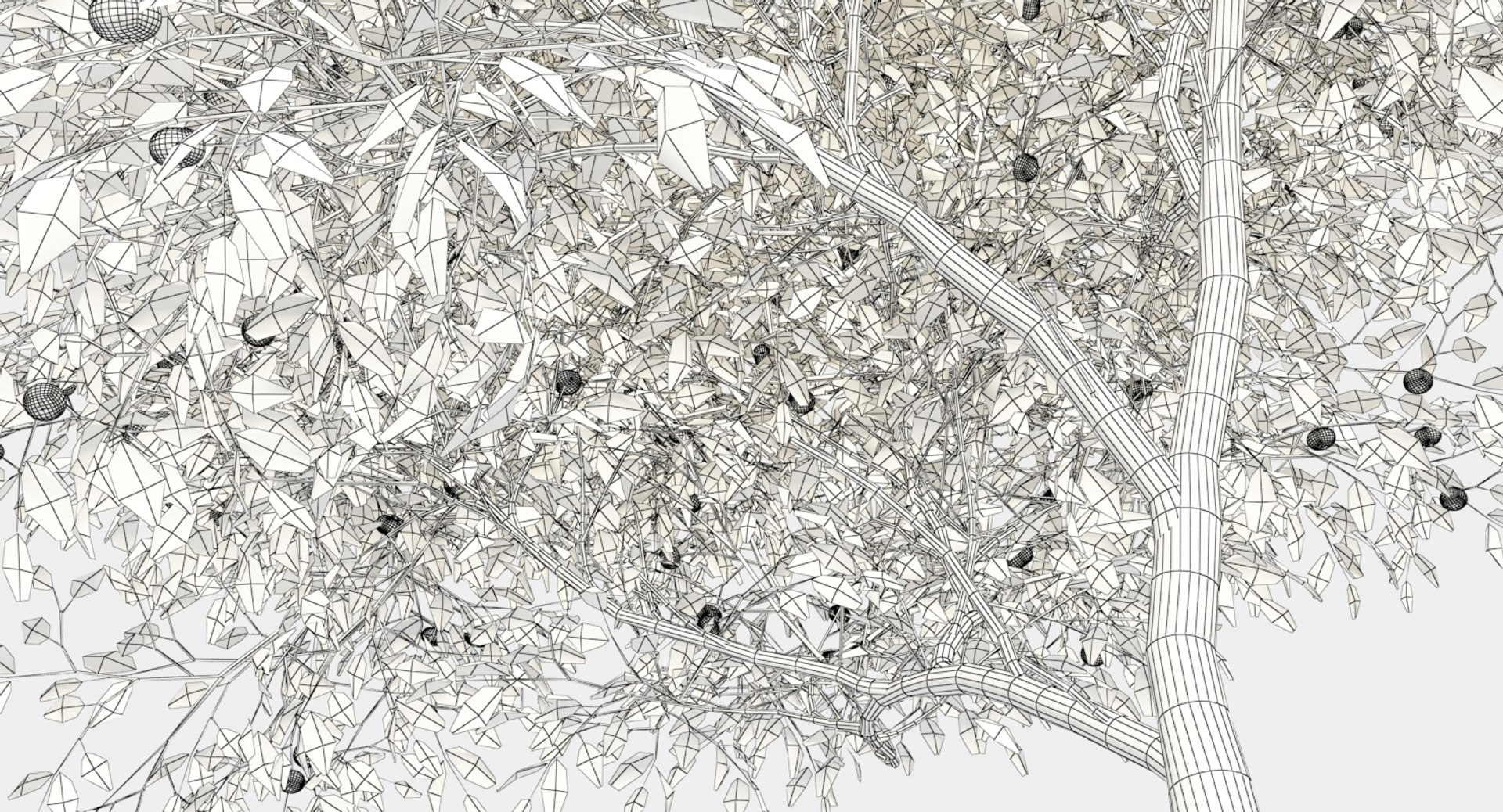 3D Model Realistic Fruit Tree Mandarine - TurboSquid 1377404