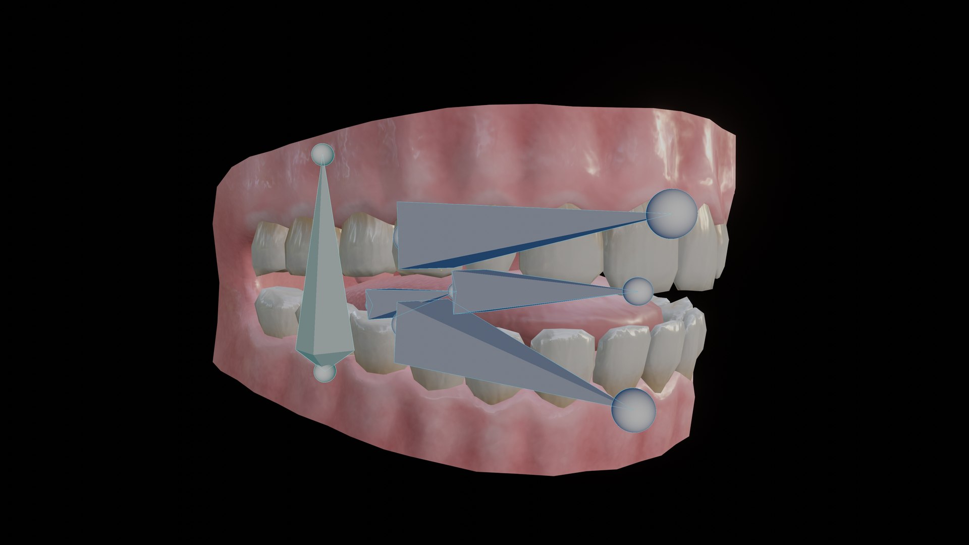 3D Human Teeth - Low Poly Model - TurboSquid 2156786