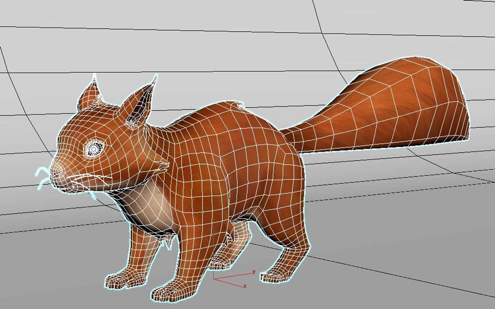 3D Squirrel Animal - TurboSquid 1423475
