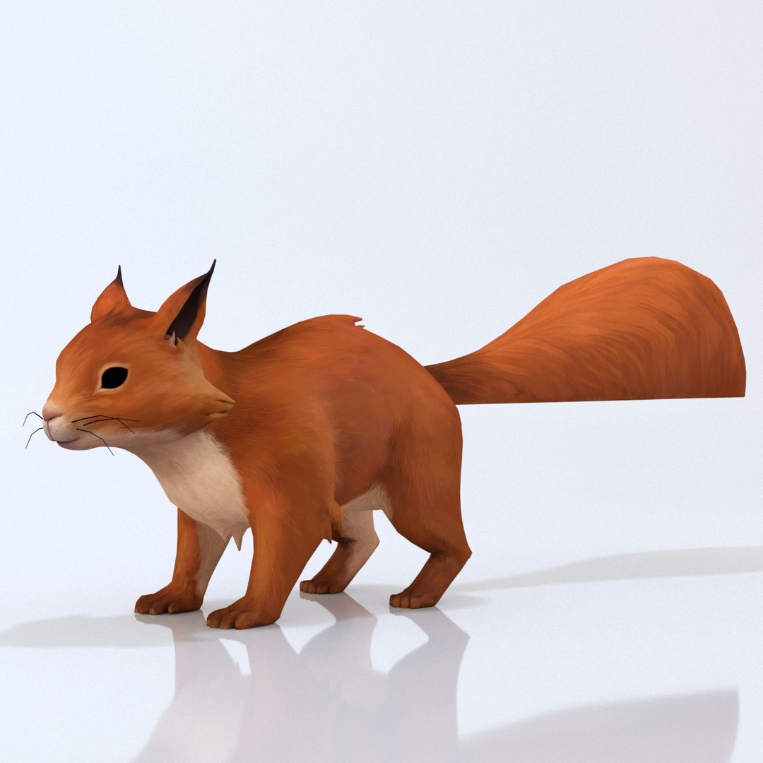 3D Squirrel Animal - TurboSquid 1423475