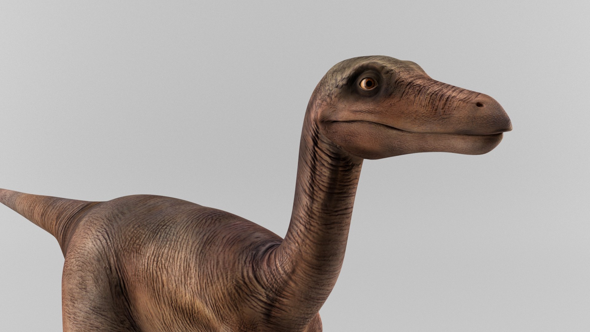 Realistic Gallimimus Rigged 3D Model - TurboSquid 1454396