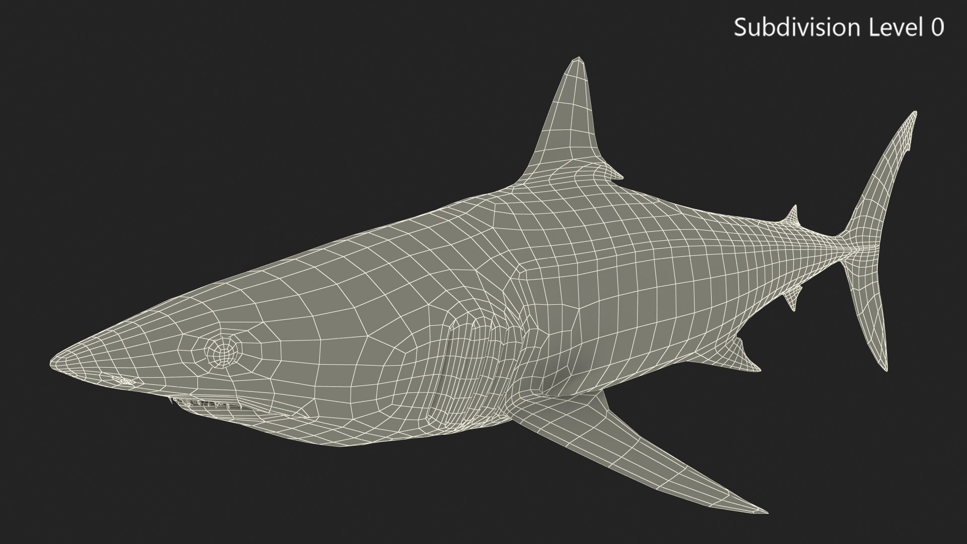 3D Model Realistic Shortfin Mako Shark Rigged For Maya - TurboSquid 2357126