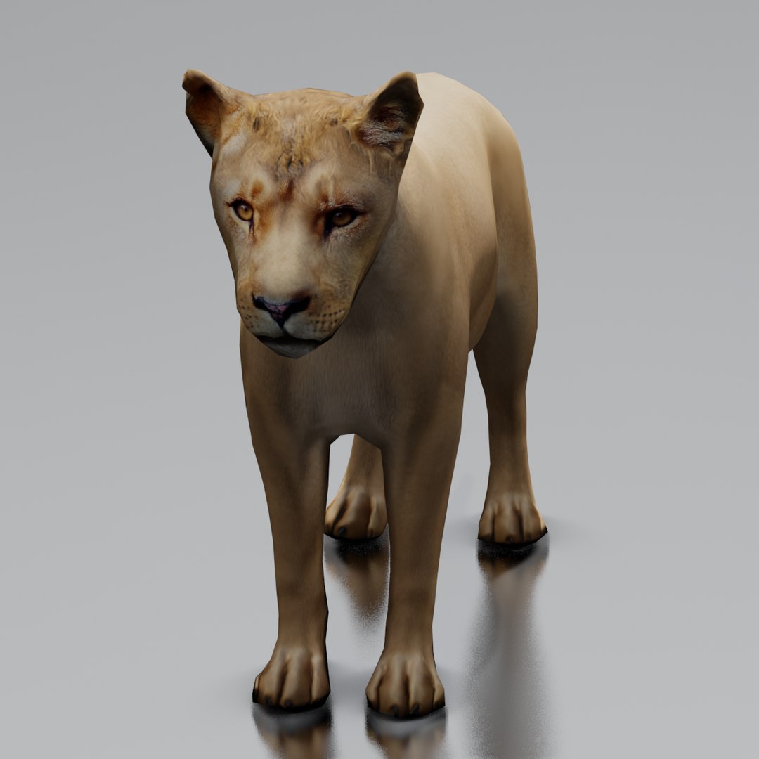 3D lioness 3d model - TurboSquid 2042854