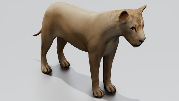 3D lioness 3d model - TurboSquid 2042854