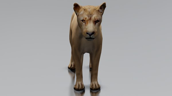 3D lioness 3d model - TurboSquid 2042854