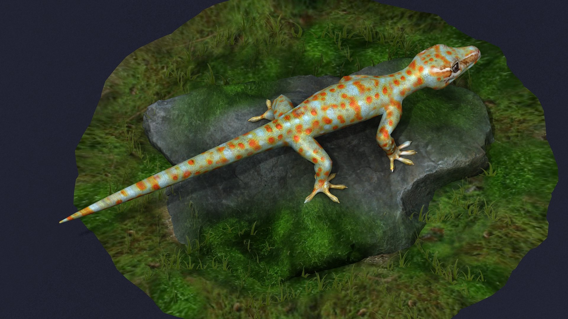 3D Gecko Animal Lizard Reptile Stylized Cartoon Creature Cute Model ...