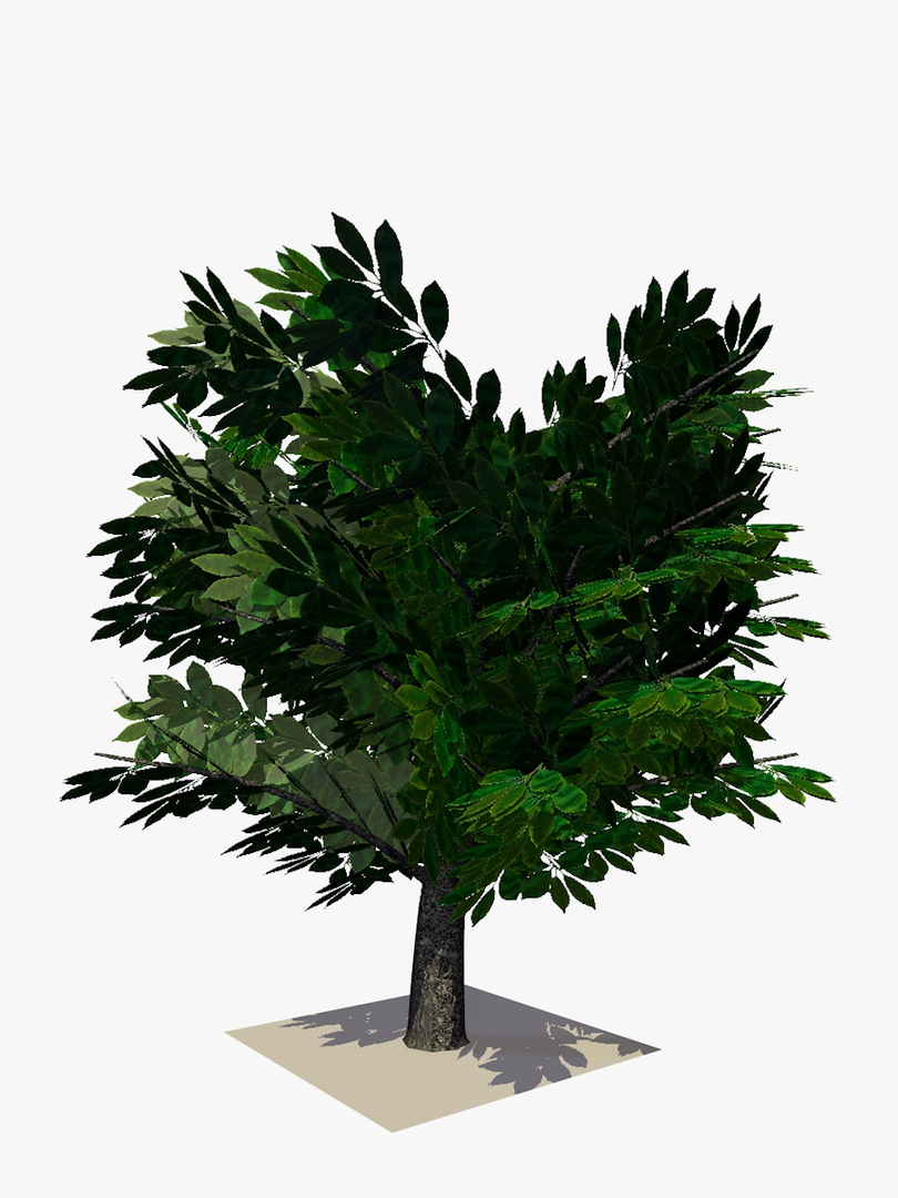 3d bush animations tree model