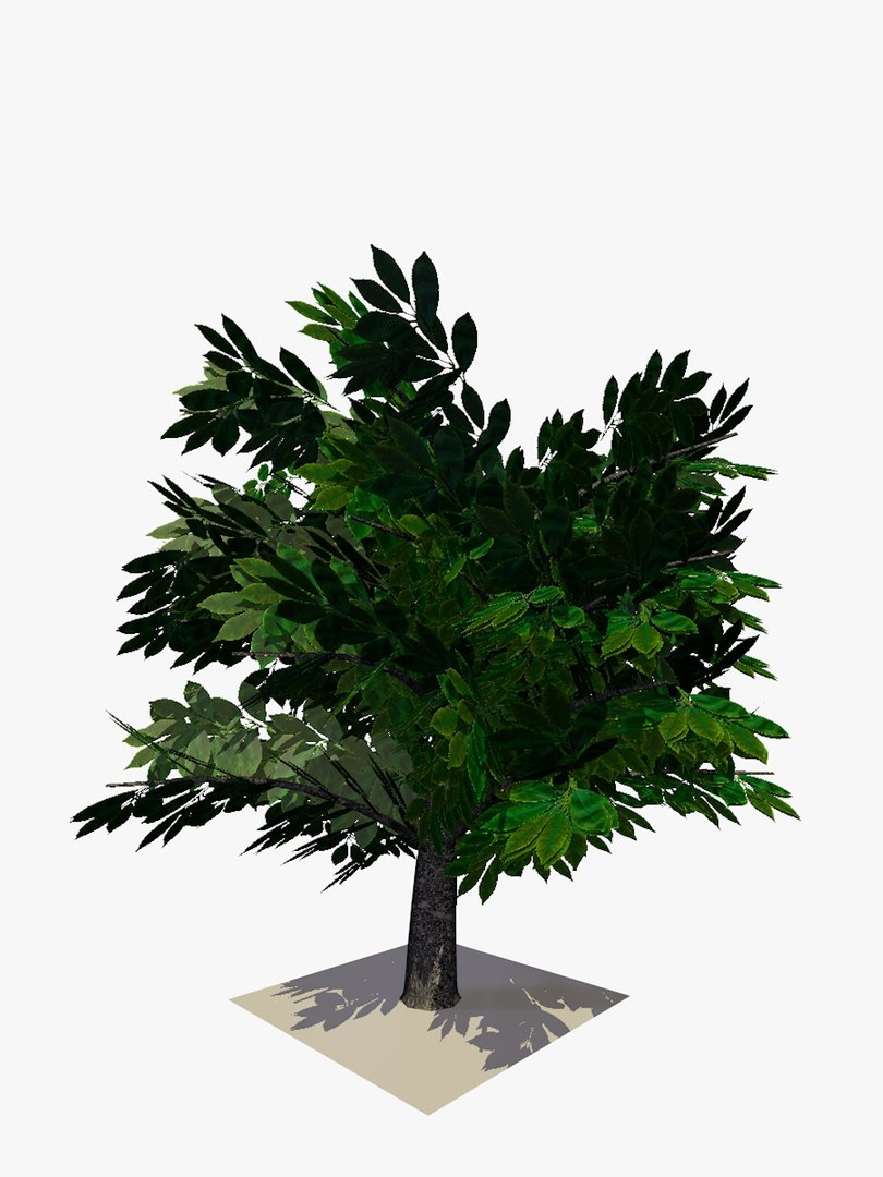 3d bush animations tree model