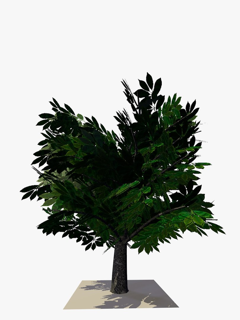 3d bush animations tree model