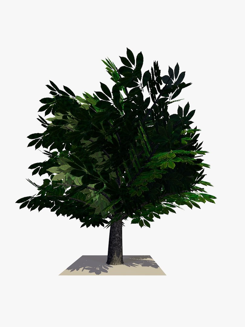 3d bush animations tree model