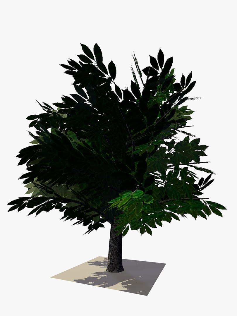 3d bush animations tree model
